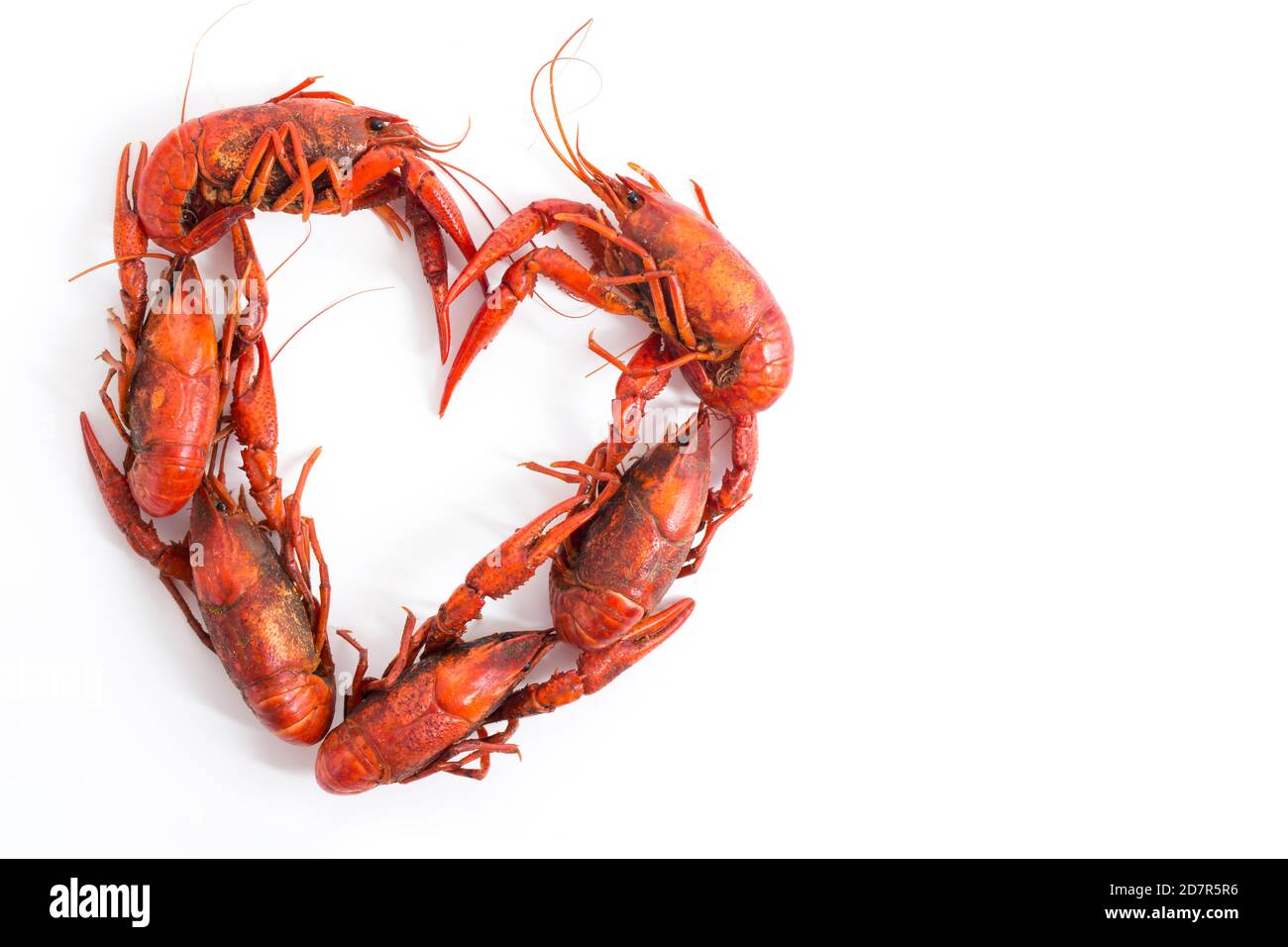 Isolated Boiled Crawfish Stock Photo - Alamy