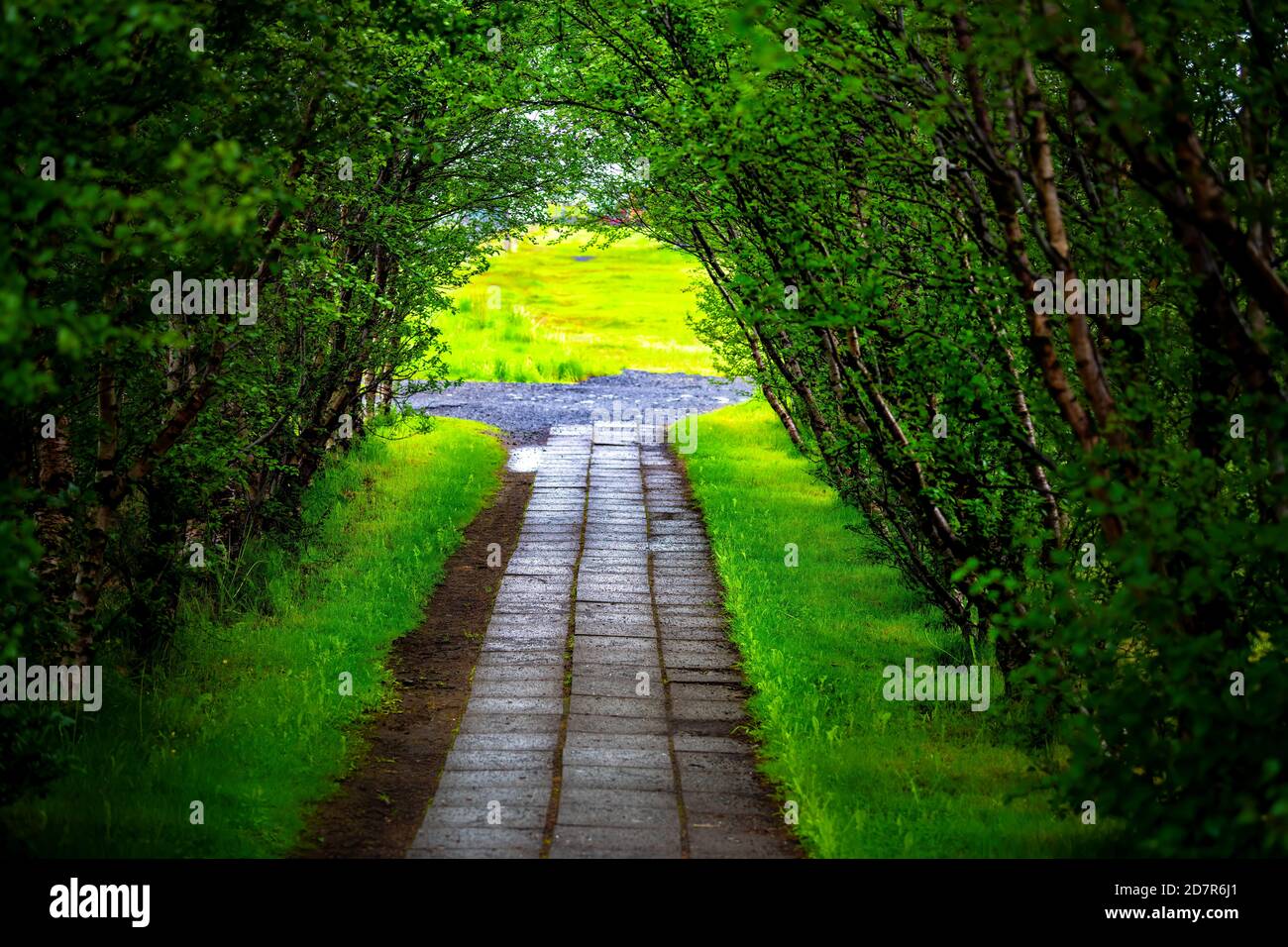 Skaftafell, Iceland green summer landscape footpath trail hiking road ...