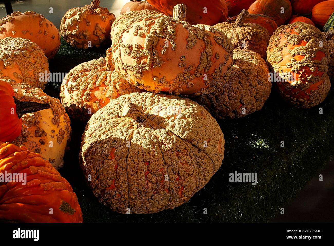 Peanut shell pumpkins hi-res stock photography and images - Alamy
