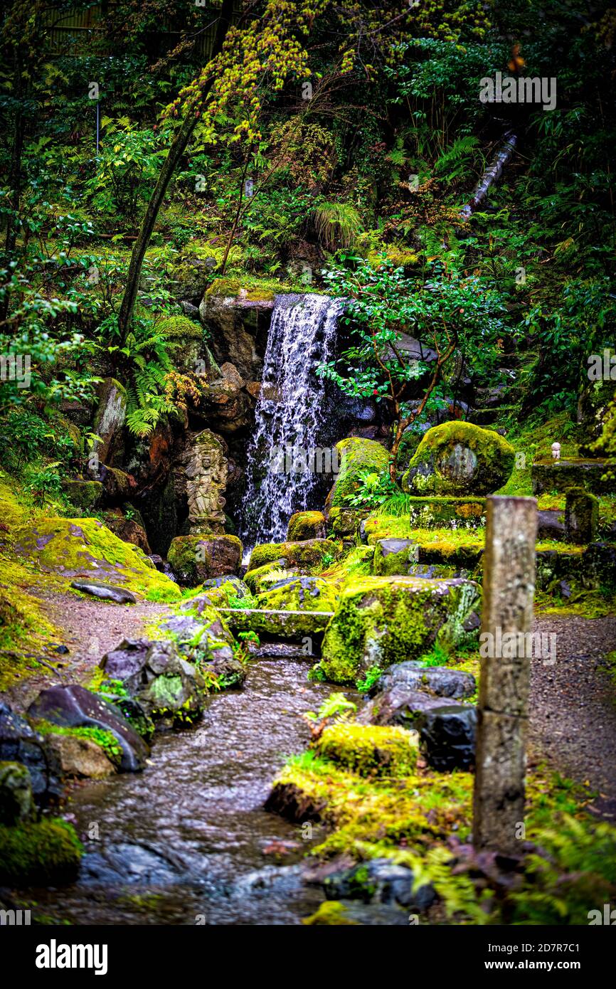 Temple eikando zenrin ji hi-res stock photography and images - Alamy