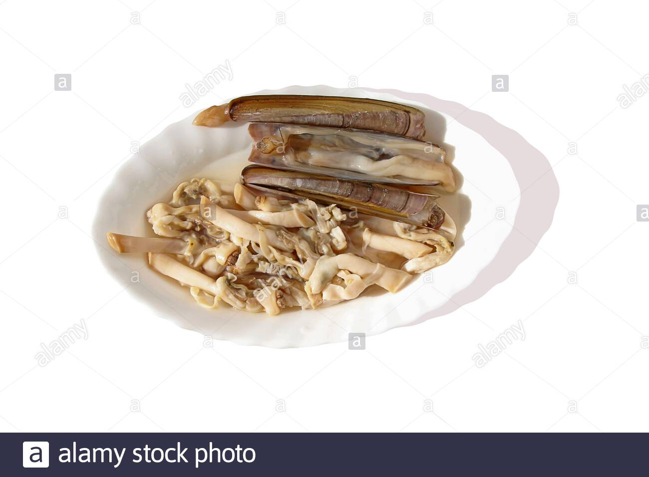 Razor Shell Ensis High Resolution Stock Photography and Images - Alamy