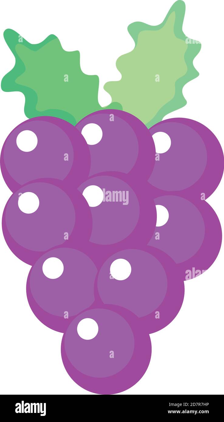 bunch of grapes icon over white background, flat style, vector ...