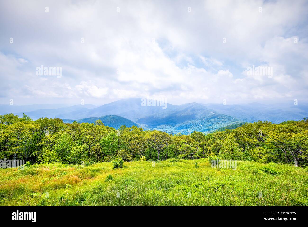 Devil's Knob Overlook green grass field meadow at Wintergreen resort ...