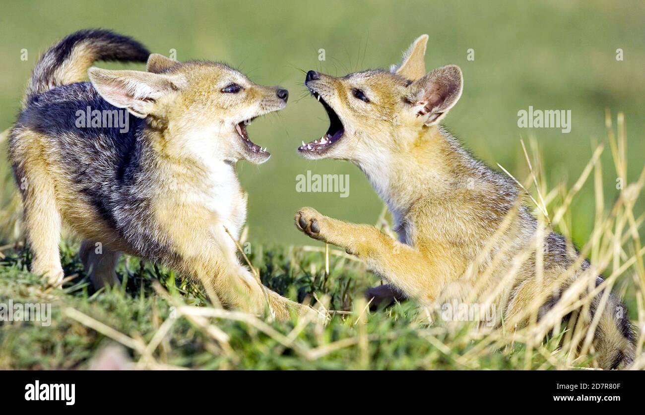 X Red High Resolution Stock Photography and Images - Alamy