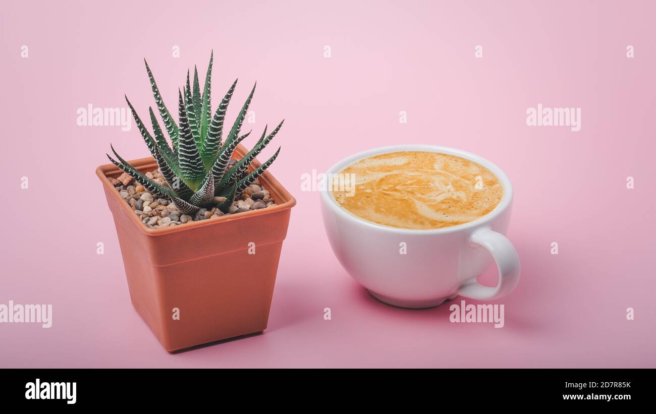 Cup of coffee with green cactus on on pink office desk table. morning ...