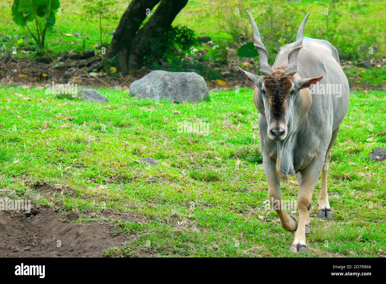 Farming farmyard hi-res stock photography and images - Alamy