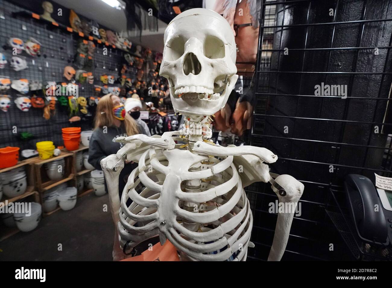 Full size skeleton hi-res stock photography and images - Alamy