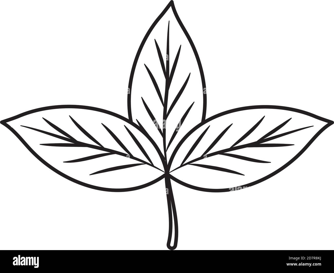 dry leaves icon over white background, line style, vector illustration ...