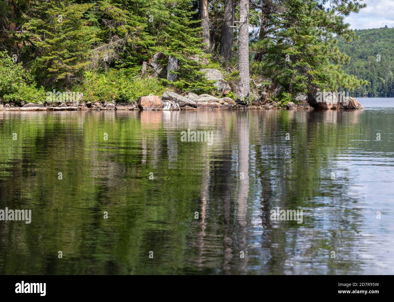Shoreline environment hi-res stock photography and images - Alamy