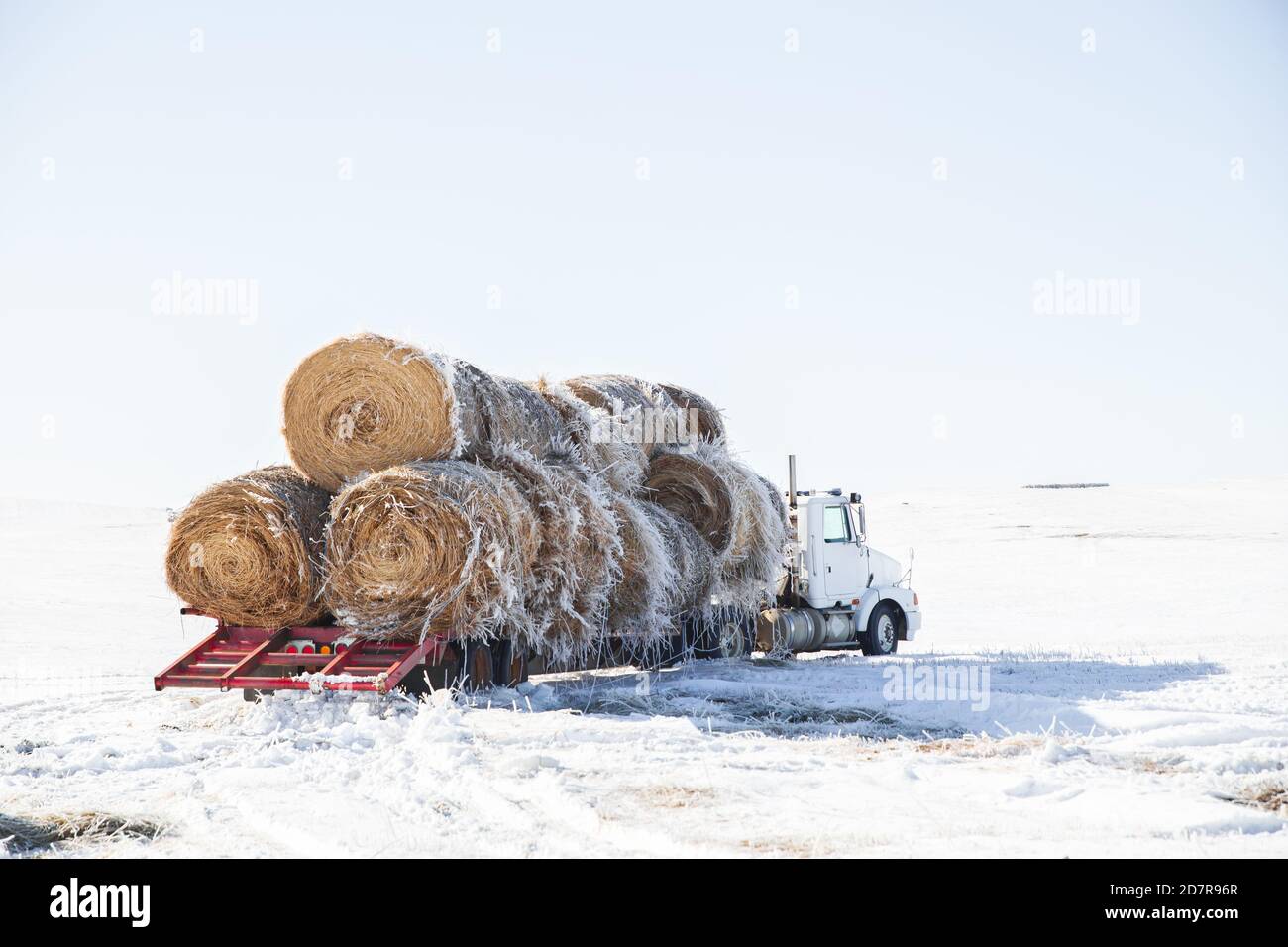 Tractor trailer loaded straw bales hi-res stock photography and images ...
