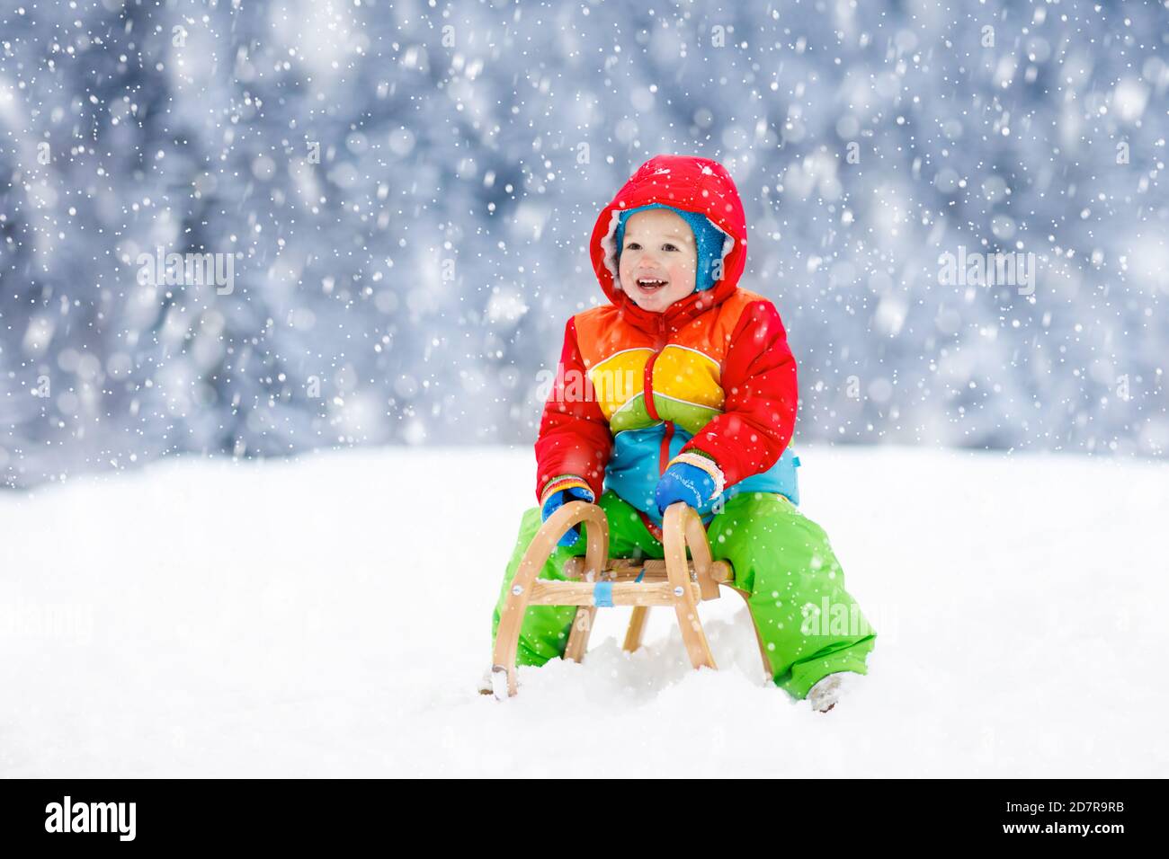 Little boy enjoying a sleigh ride. Child sledding. Toddler kid riding a ...