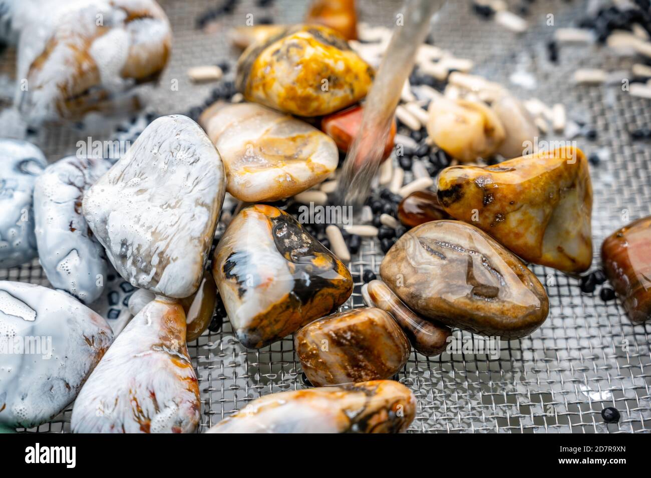 Last step in cleaning polished rocks - common hobby Stock Photo - Alamy