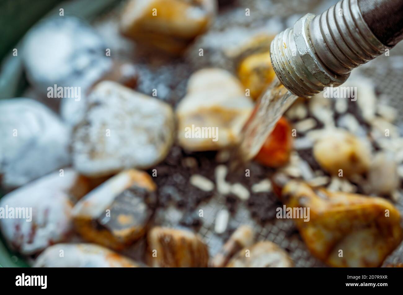Last step in cleaning polished rocks - common hobby Stock Photo - Alamy
