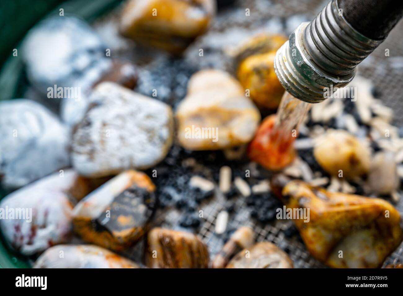 Last step in cleaning polished rocks - common hobby Stock Photo - Alamy