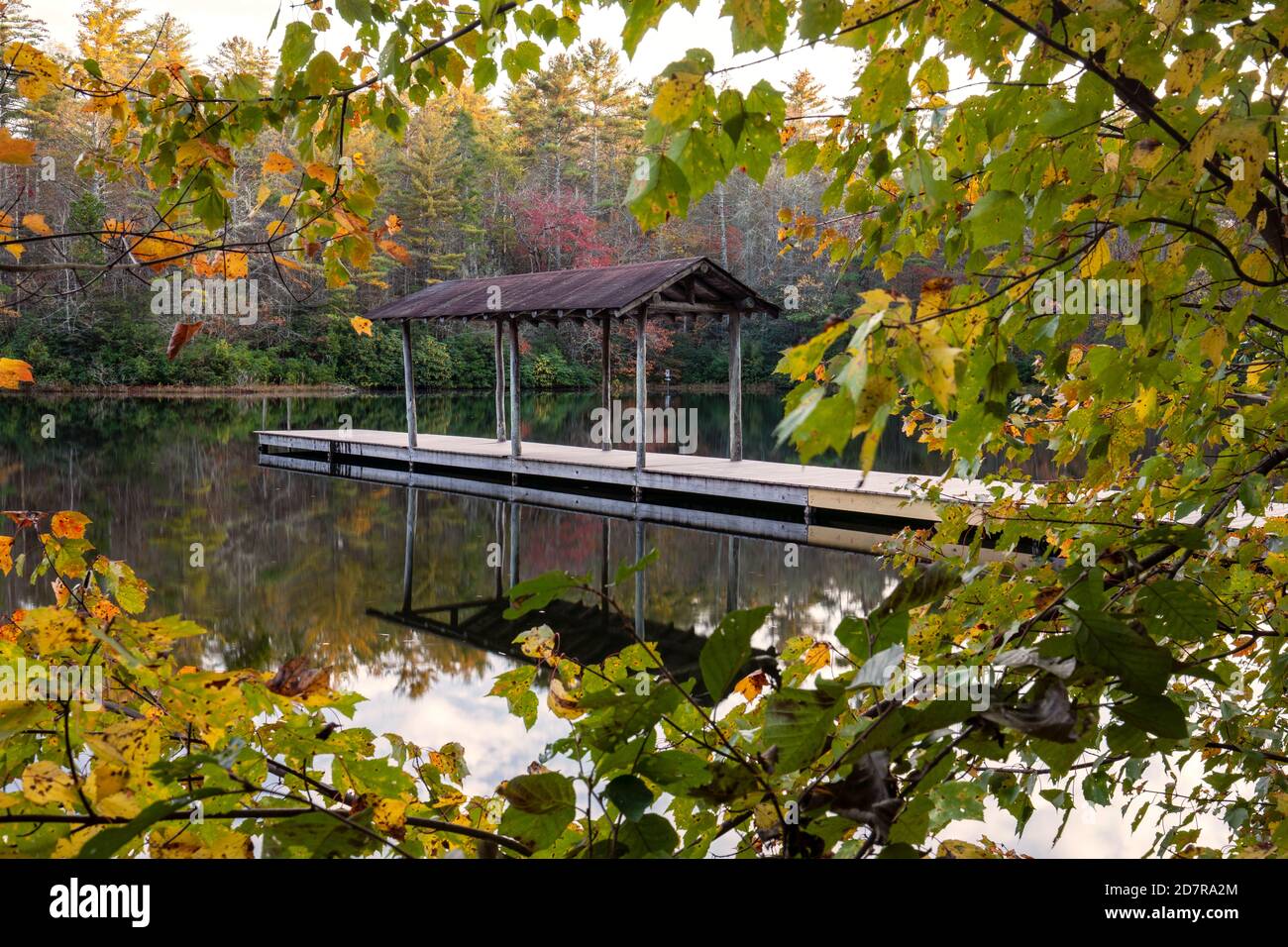 Wooden dock on Lake Dense in autumn - DuPont State Recreational Forest ...