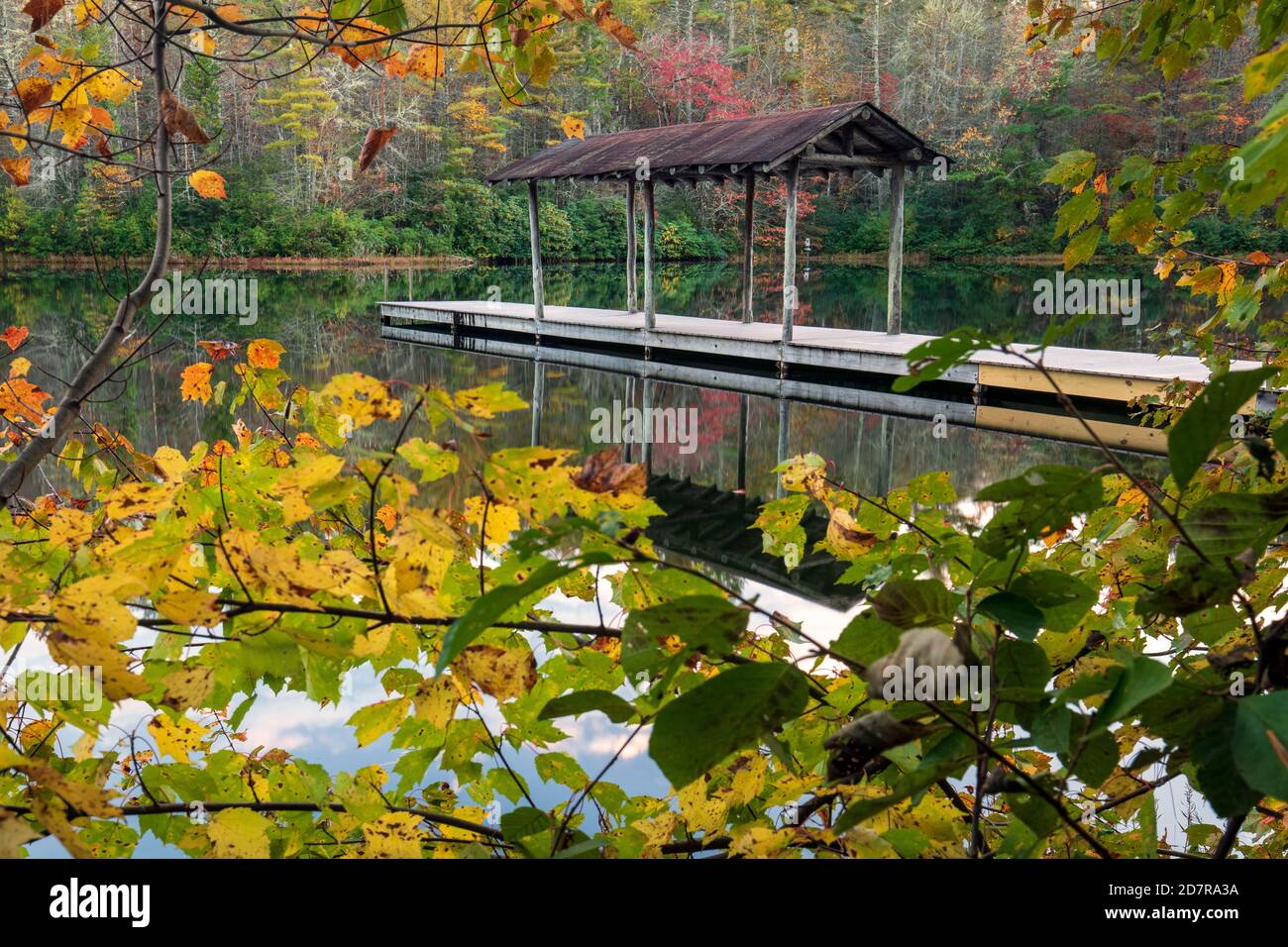 Wooden dock on Lake Dense in autumn - DuPont State Recreational Forest ...