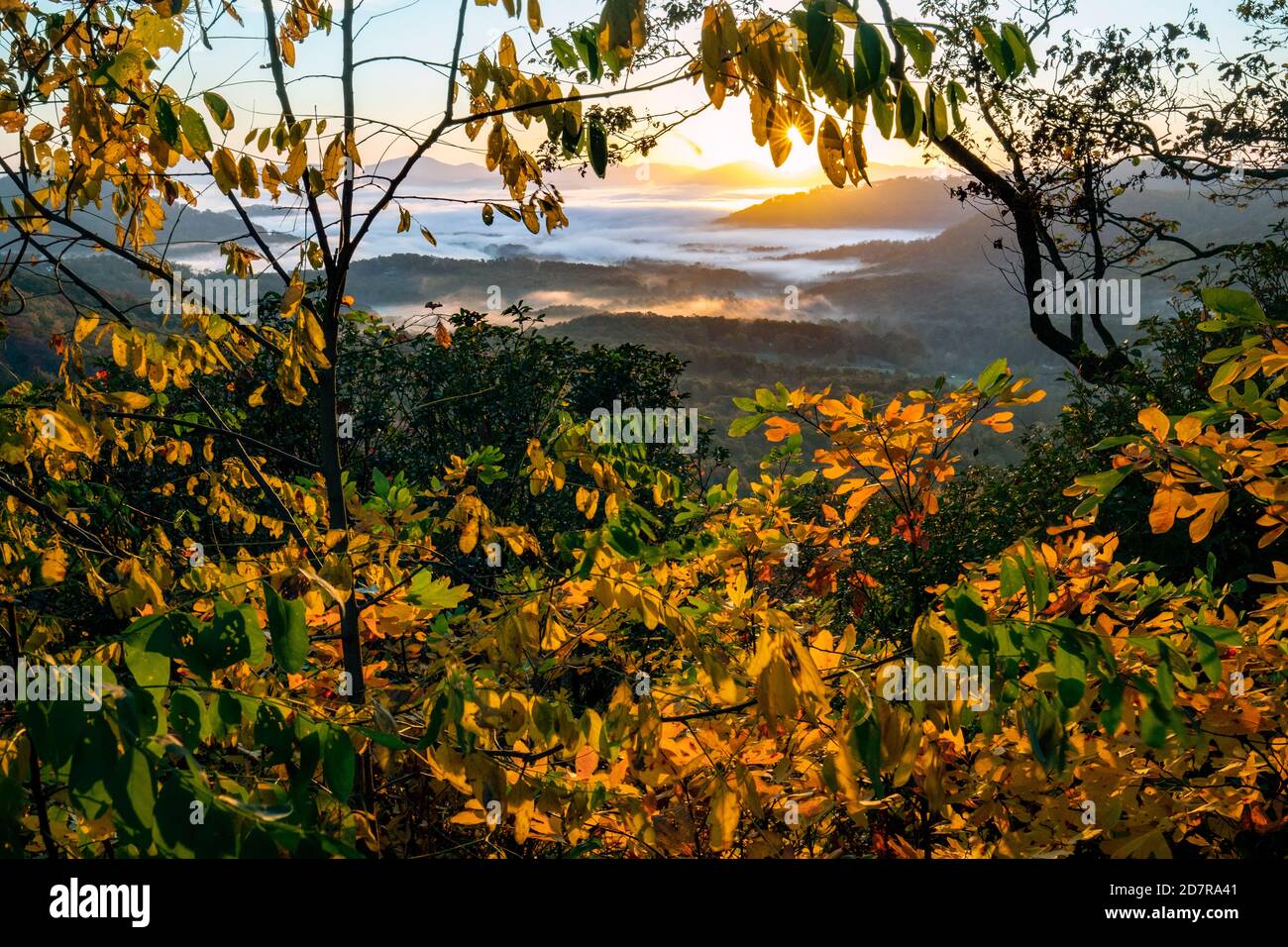 Fall foliage on the Blue Ridge Parkway at sunrise - Chestnut Cove ...