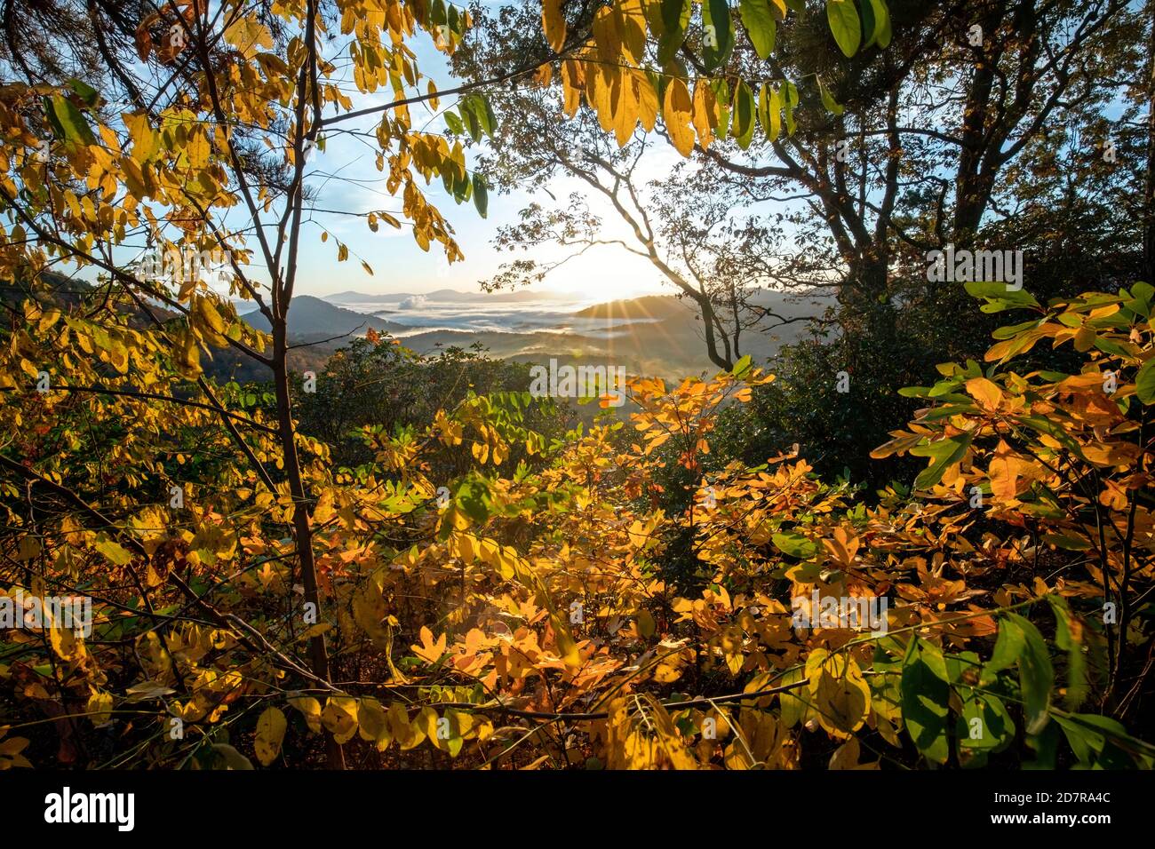 Chestnut ridge hi-res stock photography and images - Alamy