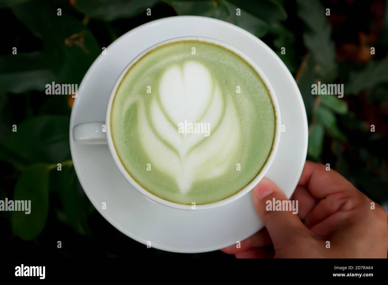 green tea, hot milk green tea or macha green tea latte Stock Photo - Alamy