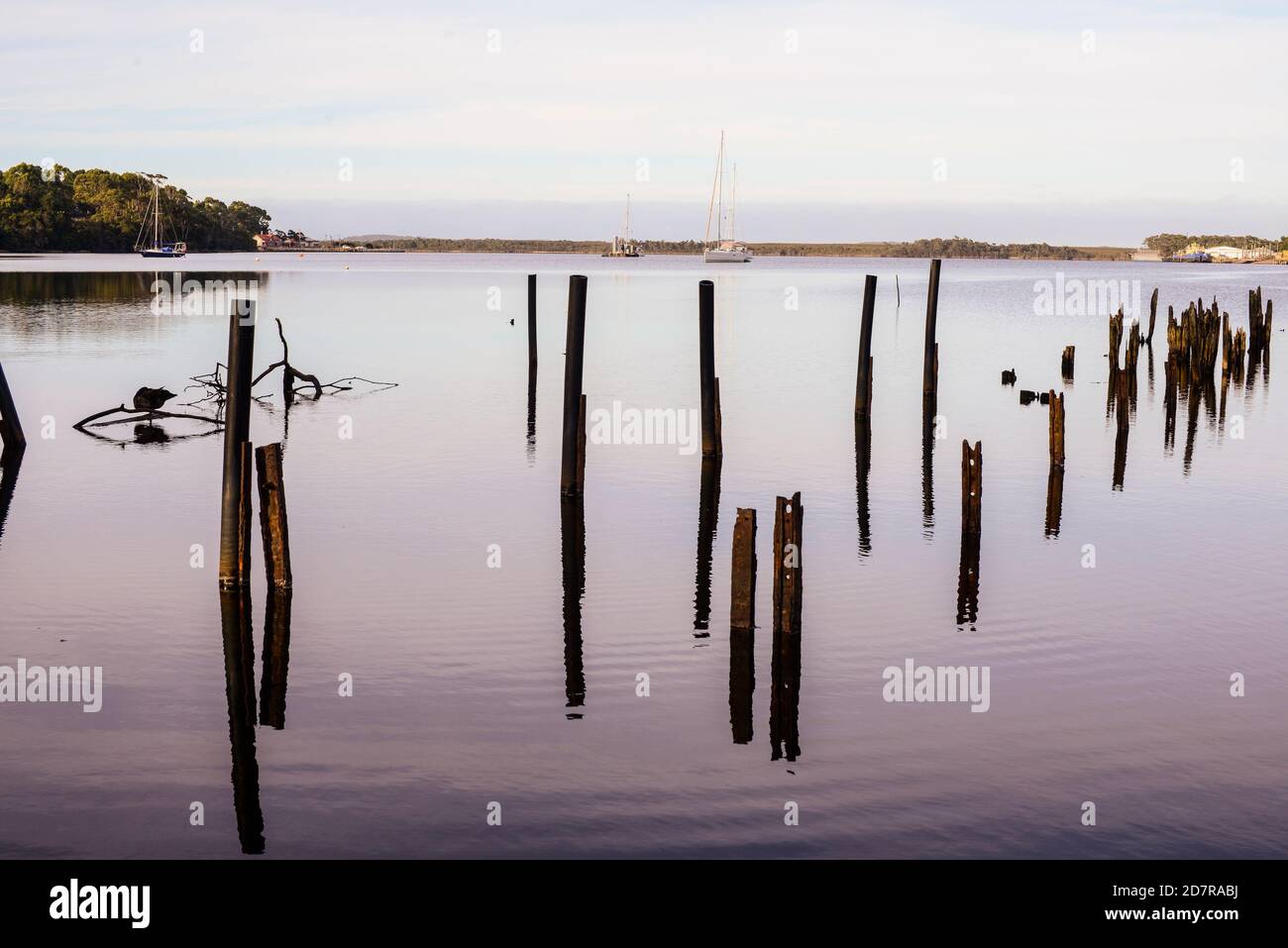 Derelict jetty piles, Macquarie Harbour, Tasmania Stock Photo - Alamy