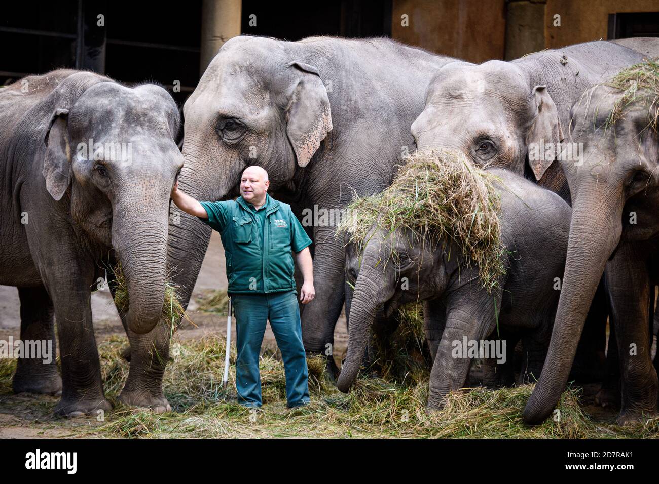 Hamburg, Germany. 22nd Oct, 2020. Michael Schmidt, head of the elephant ...