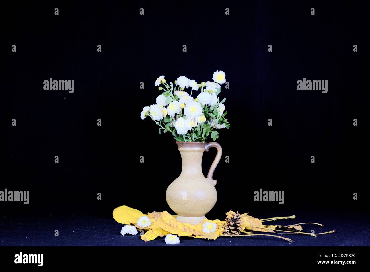 Beautiful shot of fresh flowers on the wase with black background Stock ...