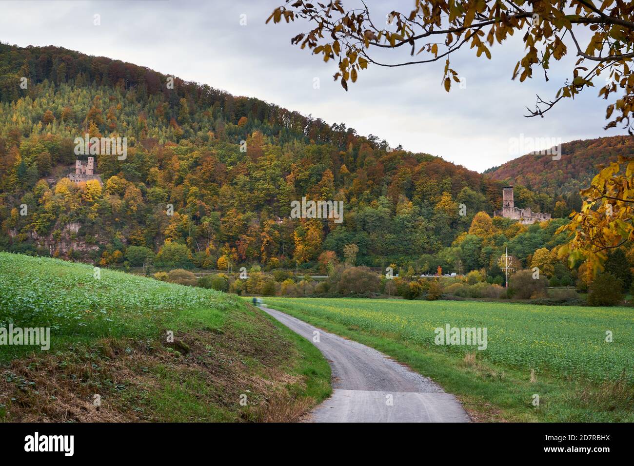 Schadeck, Hinterburg and Mittelburg Castles Neckarsteinach Germany ...