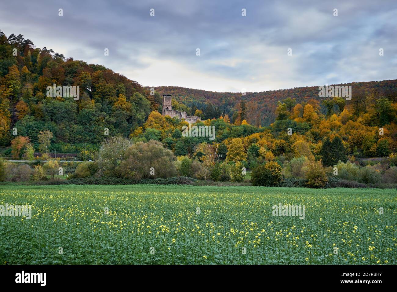 Castles of neckarsteinach hi-res stock photography and images - Alamy