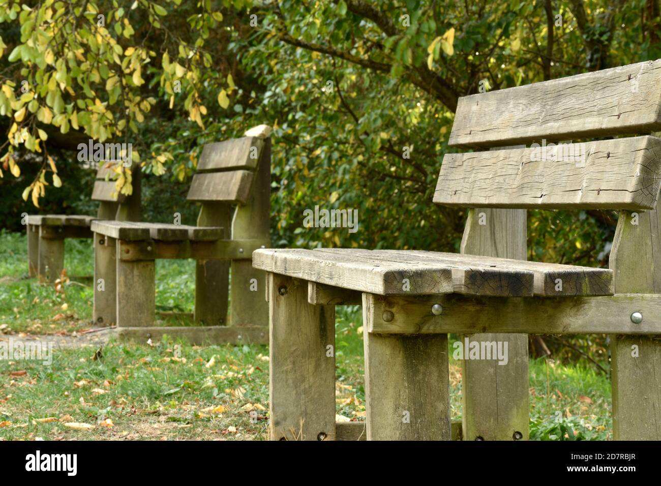 Beautiful shot wooden benches hi-res stock photography and images - Alamy