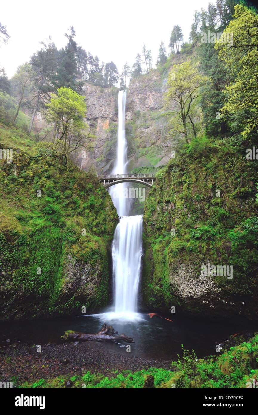 Multnomah falls recreation area hi-res stock photography and images - Alamy
