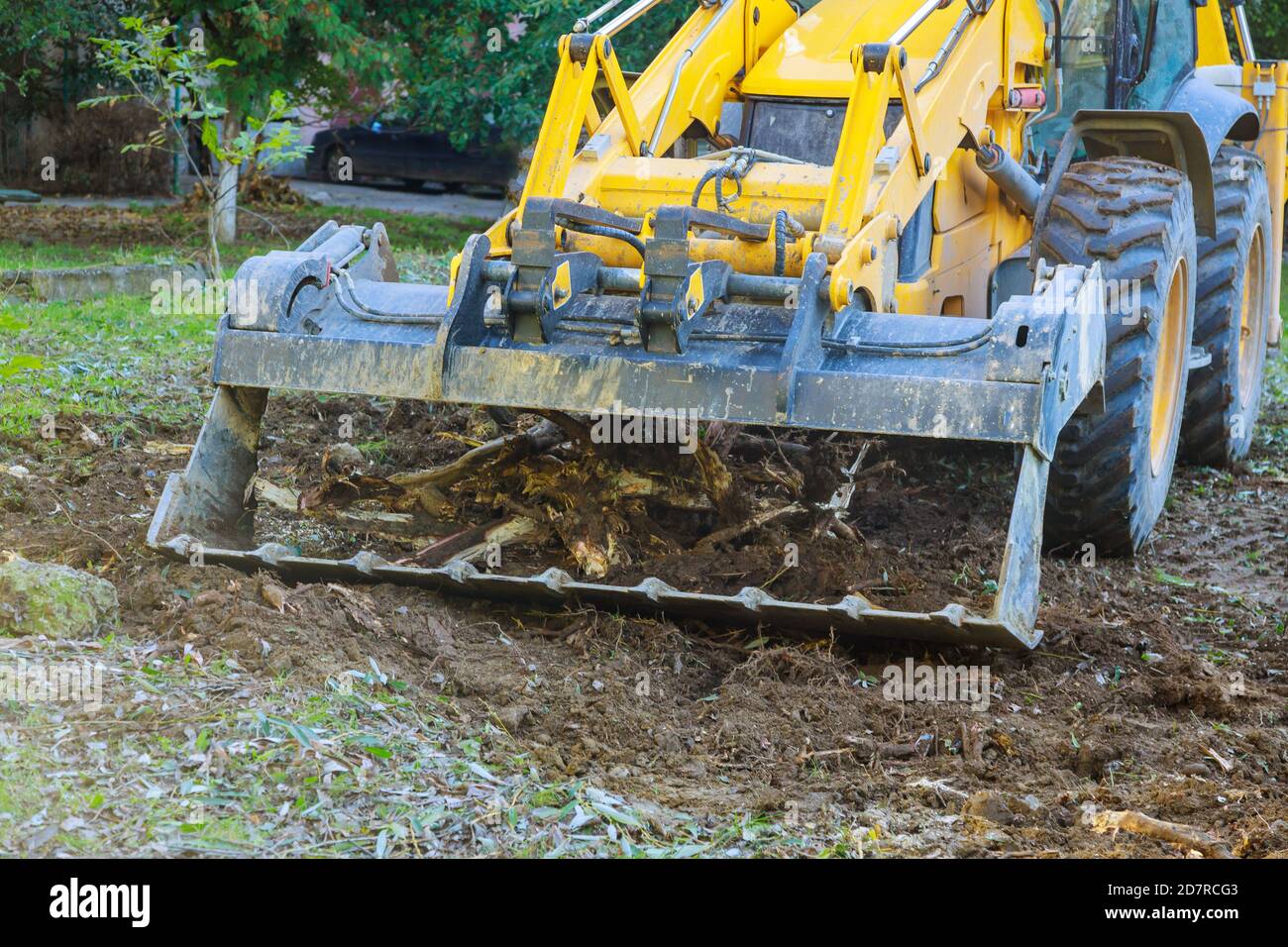 Tree removing branch hi-res stock photography and images - Alamy