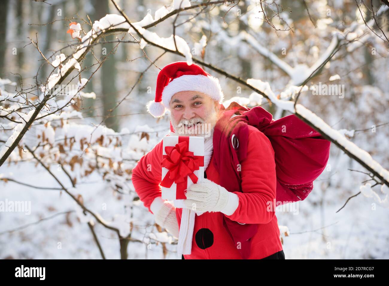 Santa Claus coming to the winter forest with a bag of gifts Stock Photo ...