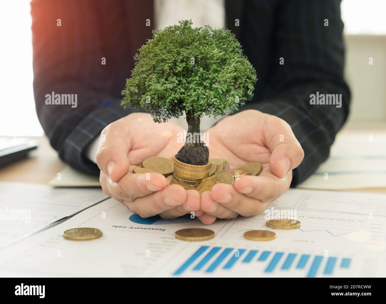 Investment growth concept, business people holding tree grow on coin ...