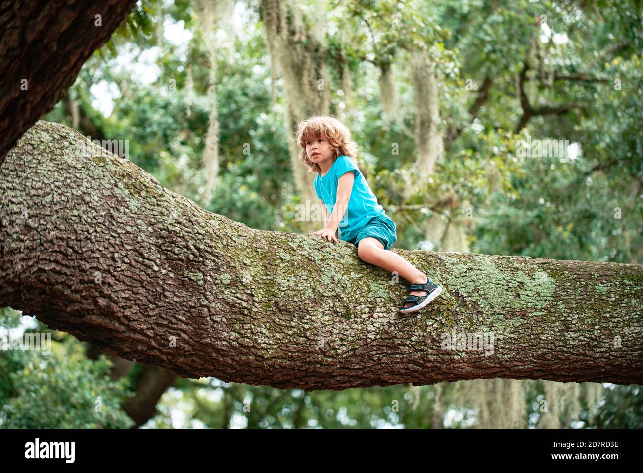 Child playing in a park climbing a tree. Childhood in the village Stock ...