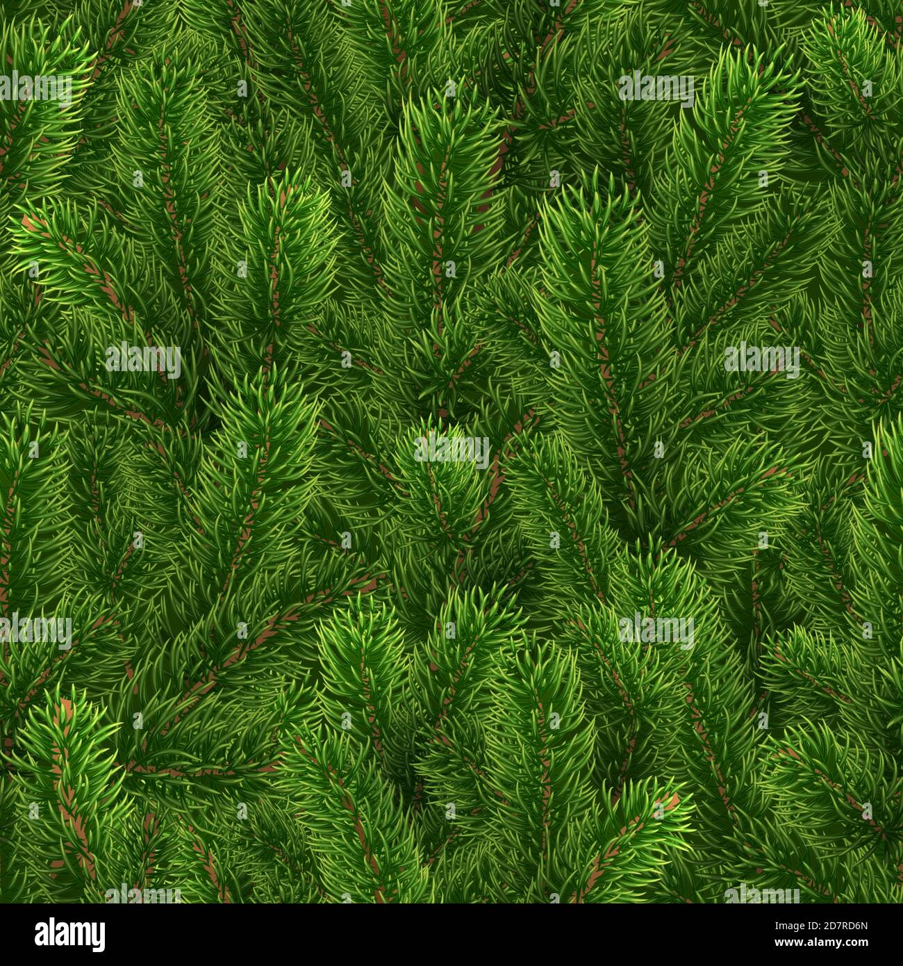 Conifer tree branches closeup Stock Vector Images - Alamy