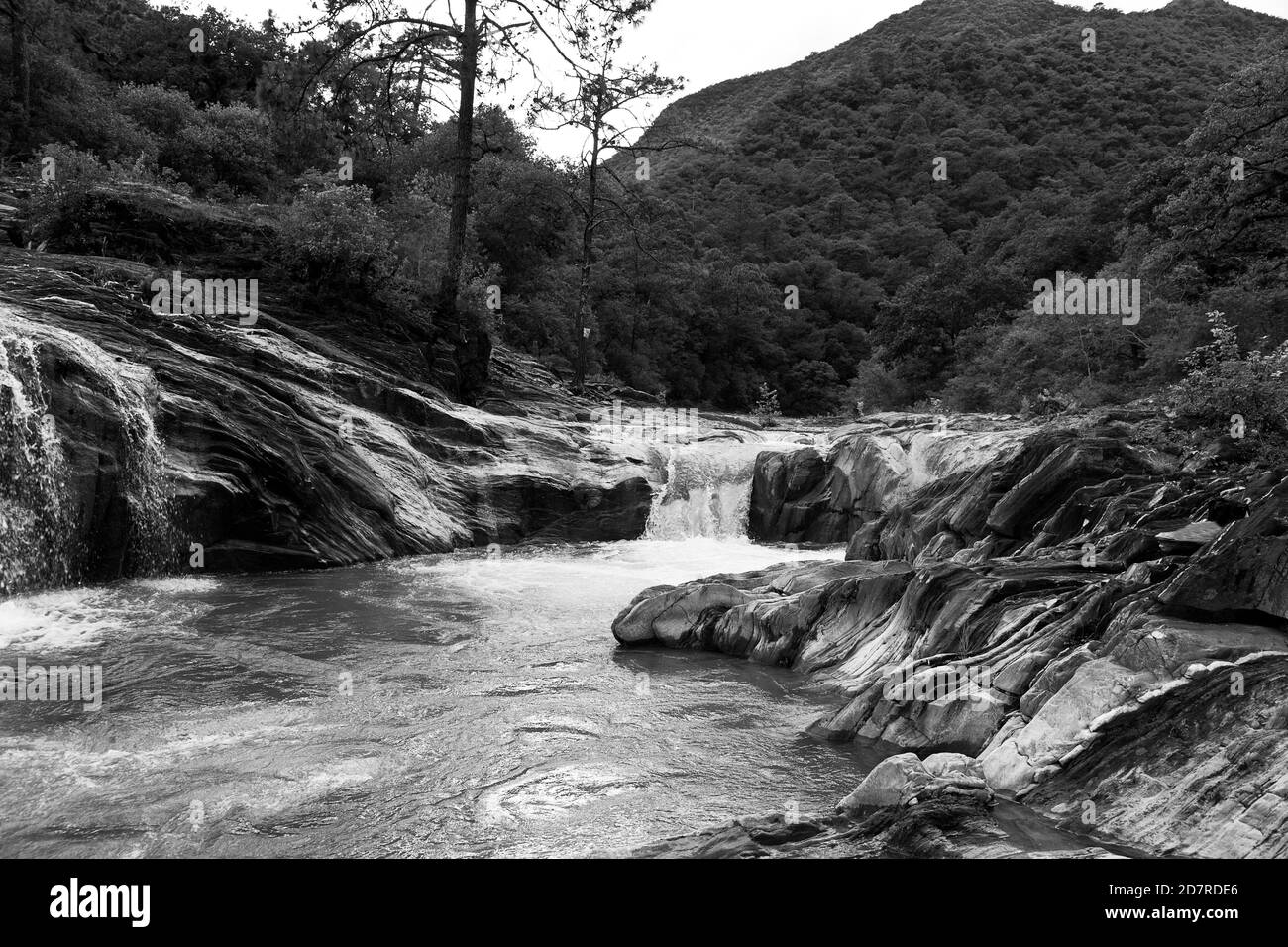 Grayscale shot of a river and mountains covered with greenery Stock ...