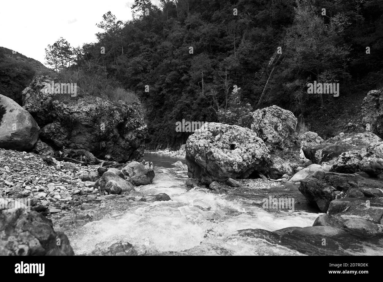 Grayscale shot of a river and mountains covered with greenery Stock ...