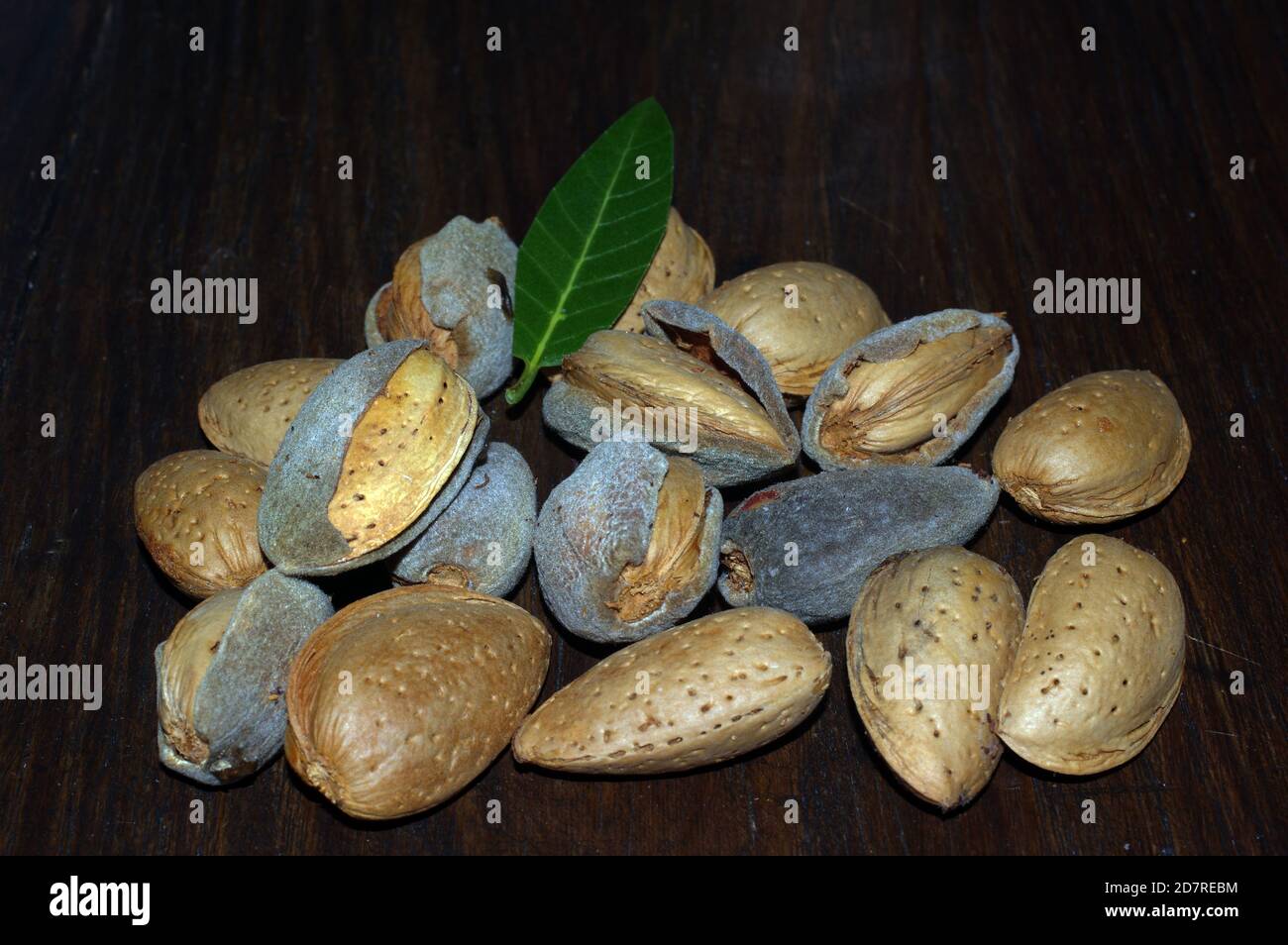 Almonds set hi-res stock photography and images - Alamy