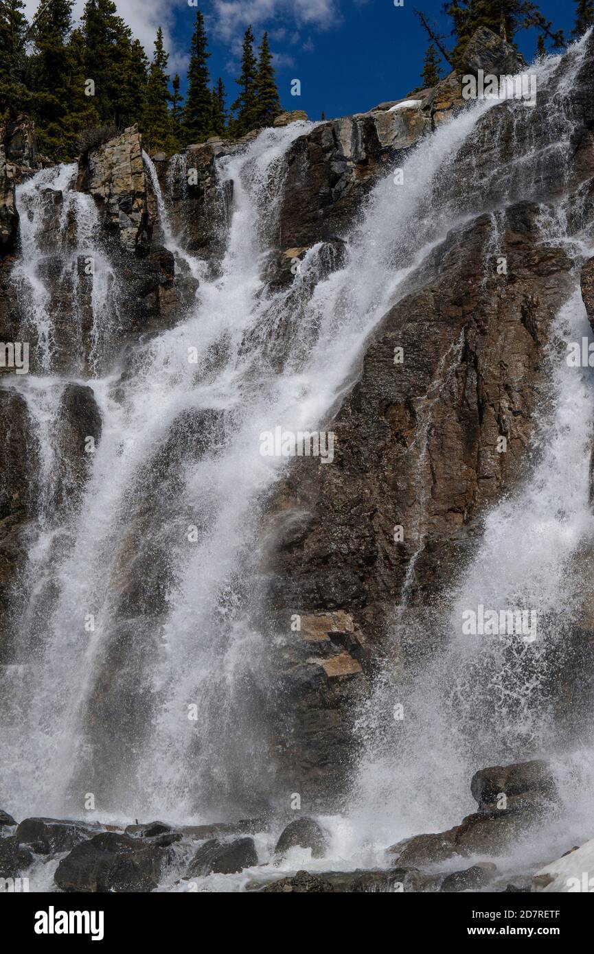 Gamalost High Resolution Stock Photography and Images - Alamy