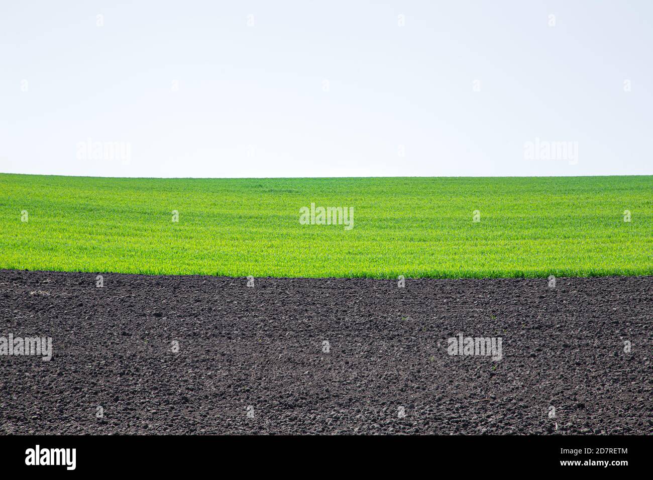 Beautiful black earth fields in Ukraine. Agricultural rural landscape ...
