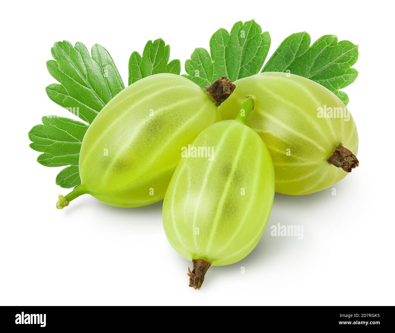 Green gooseberry isolated on white background with clipping path and ...
