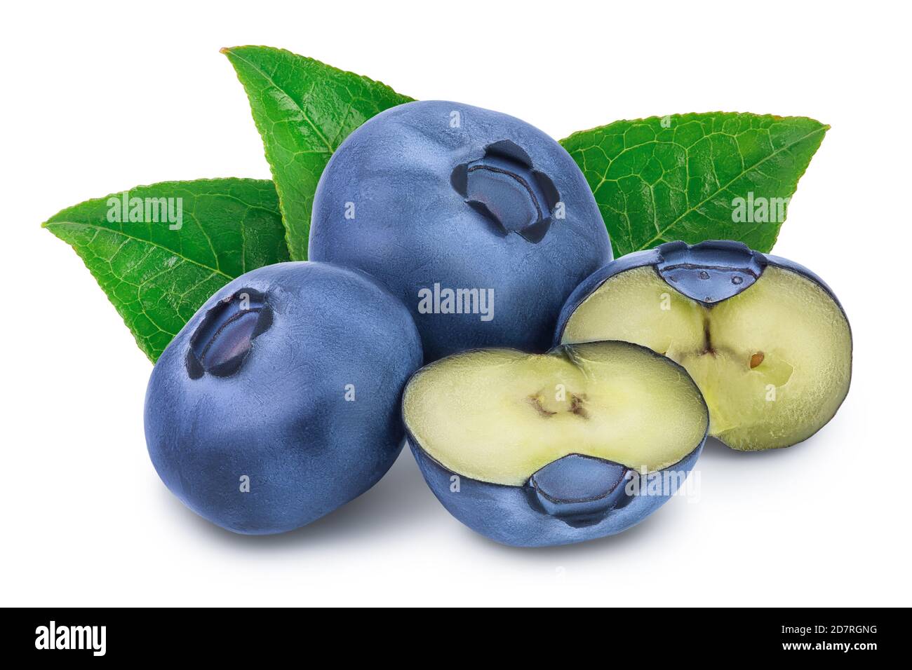 fresh blueberry and half isolated on white background closeup with ...
