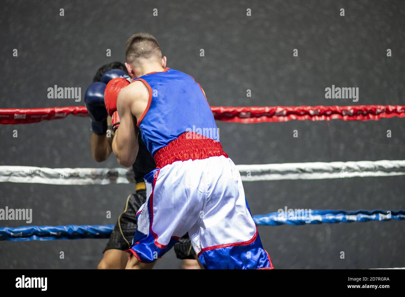 Couple of boxers fighting in the ring Stock Photo - Alamy