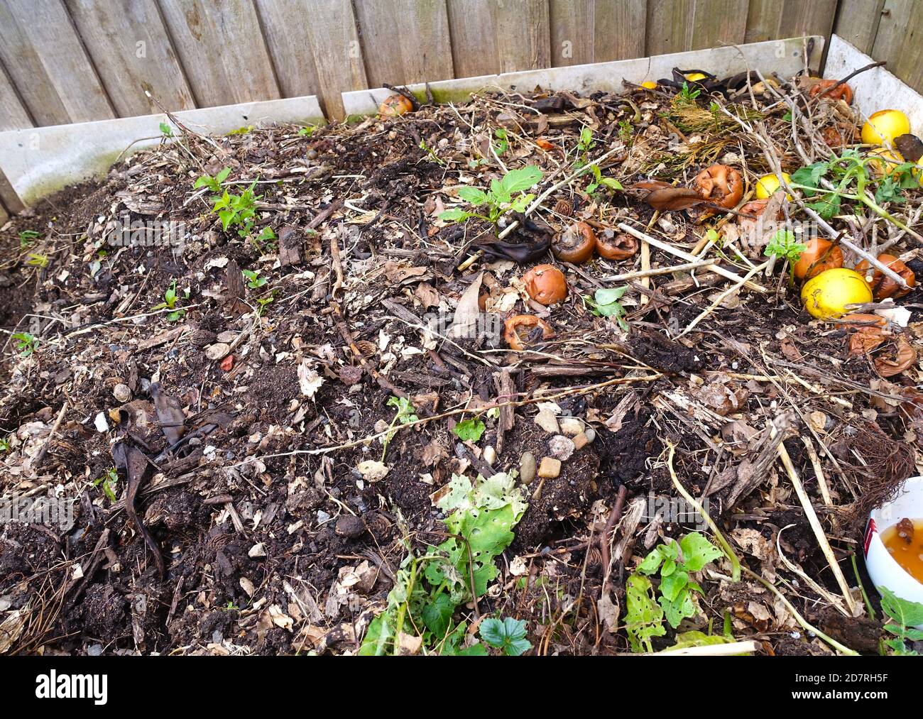 Compost Heap with decomposing organic matter Stock Photo - Alamy