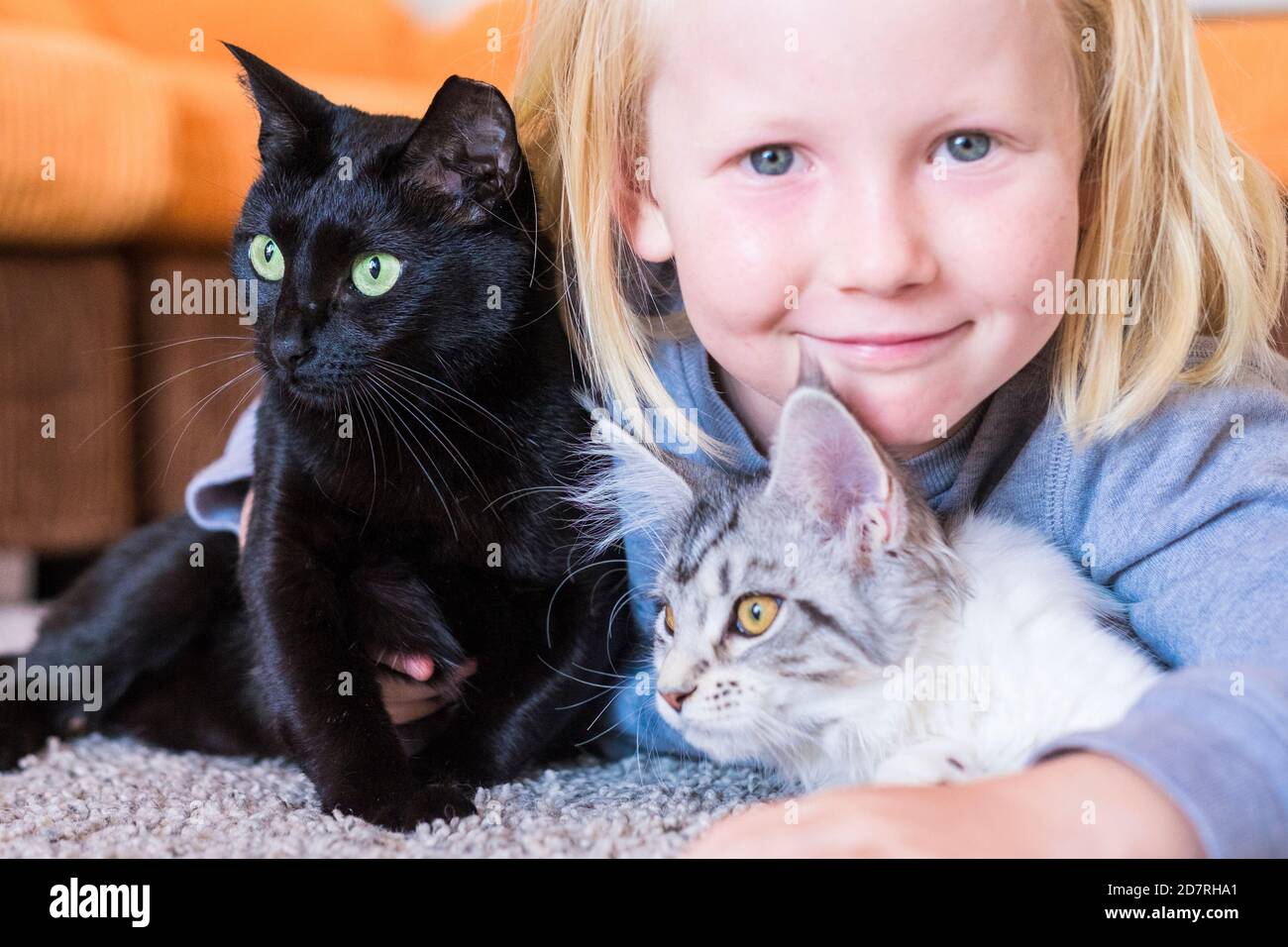 Portrait of young blonde children with his two feline cats at home ...