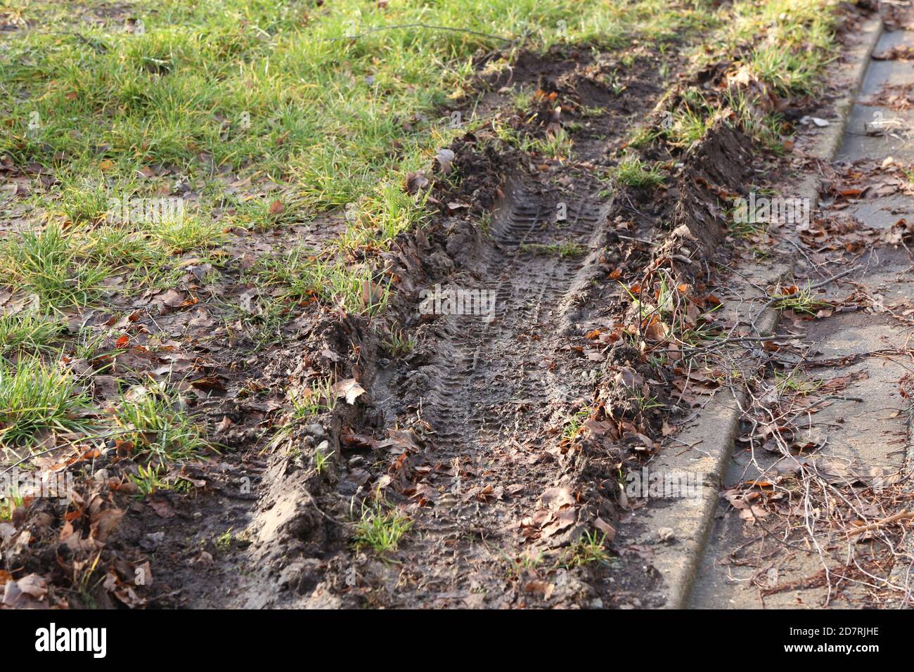 Impression of the tread of a car wheel on muddy path Stock Photo - Alamy