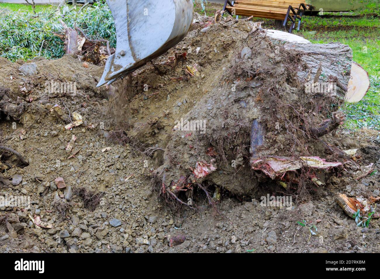 Tree uproot machine hi-res stock photography and images - Alamy