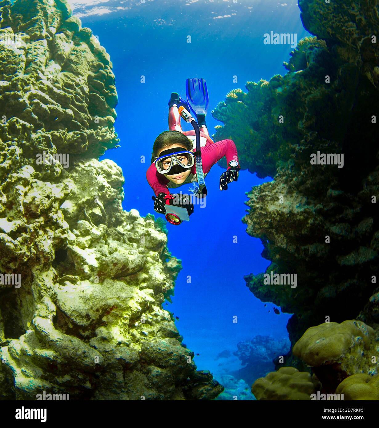 Coral Blocks High Resolution Stock Photography and Images - Alamy