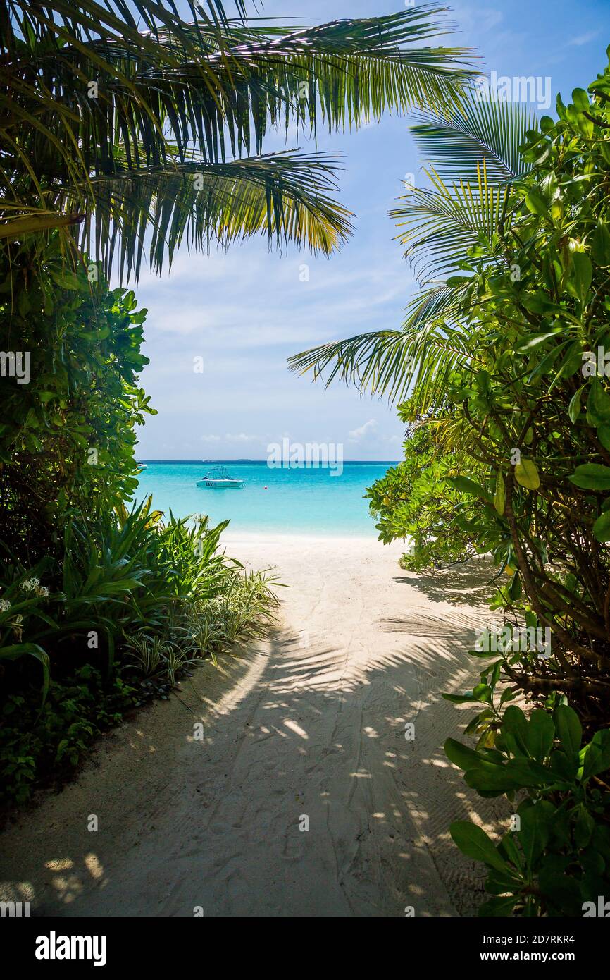 Sandy path leading to the wavy ocean under the blue sky Stock Photo - Alamy