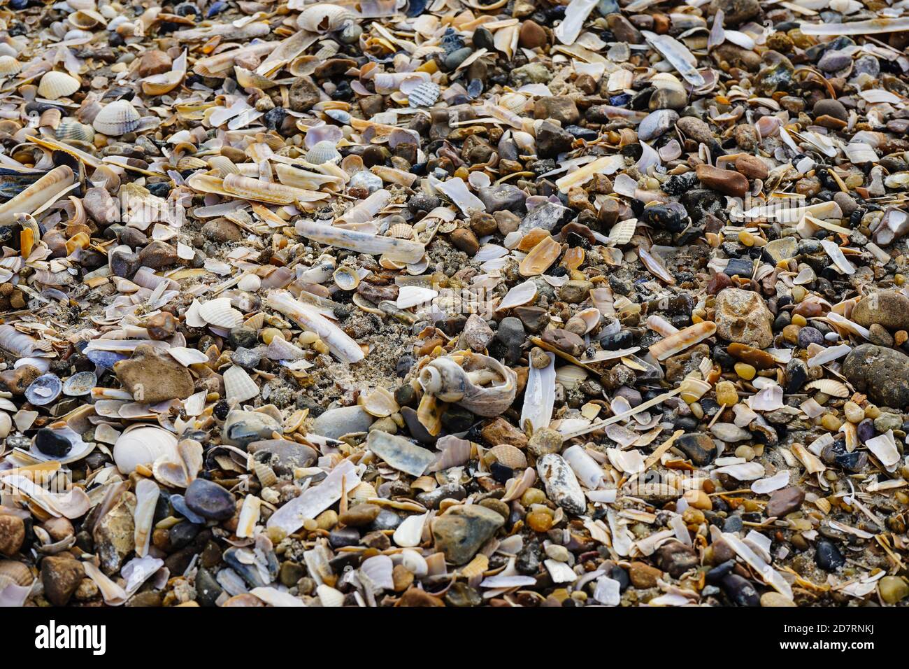 at the beach of Blavand (Traslation: danish for blue water) in Denmark ...